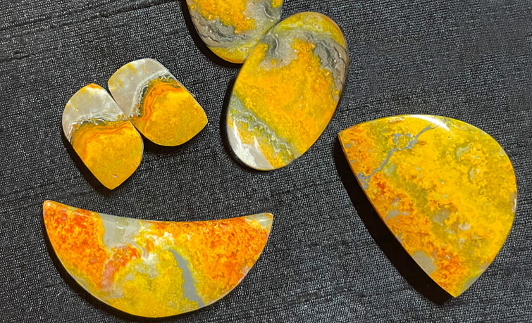 The Joy of Bumblebee Jasper - Bon Chance